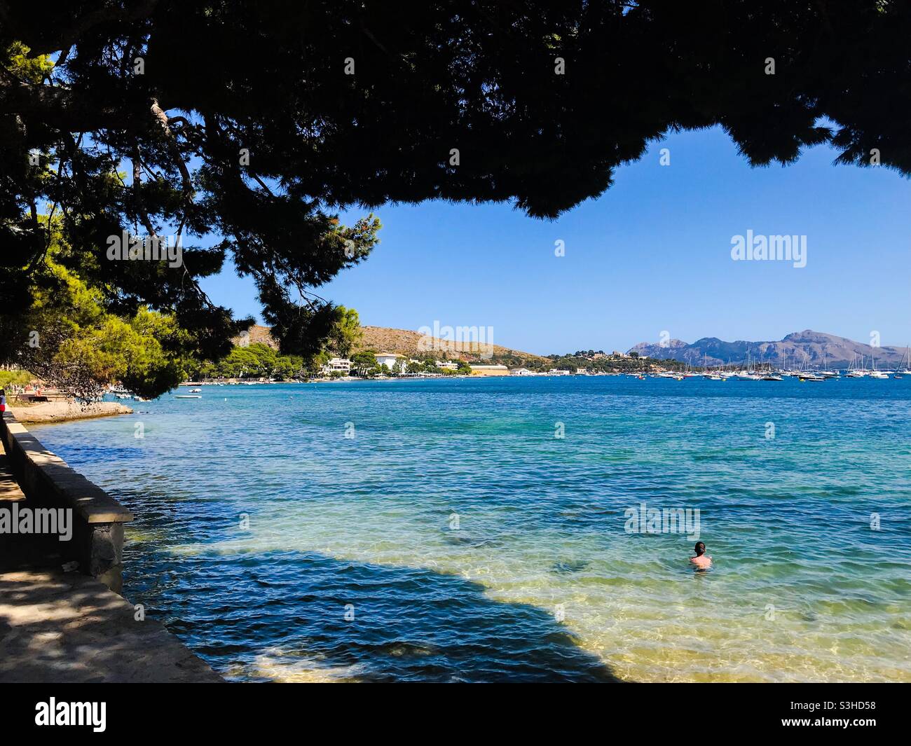 Puerto Pollensa bay, Mallorca Stock Photo - Alamy