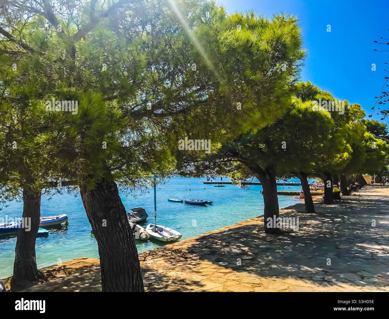 Puerto Pollensa bay & the pine walk, Mallorca Stock Photo - Alamy