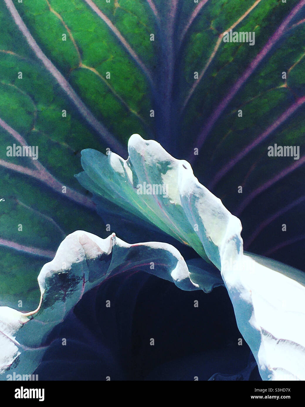 Abstract, nature, landscape Stock Photo - Alamy