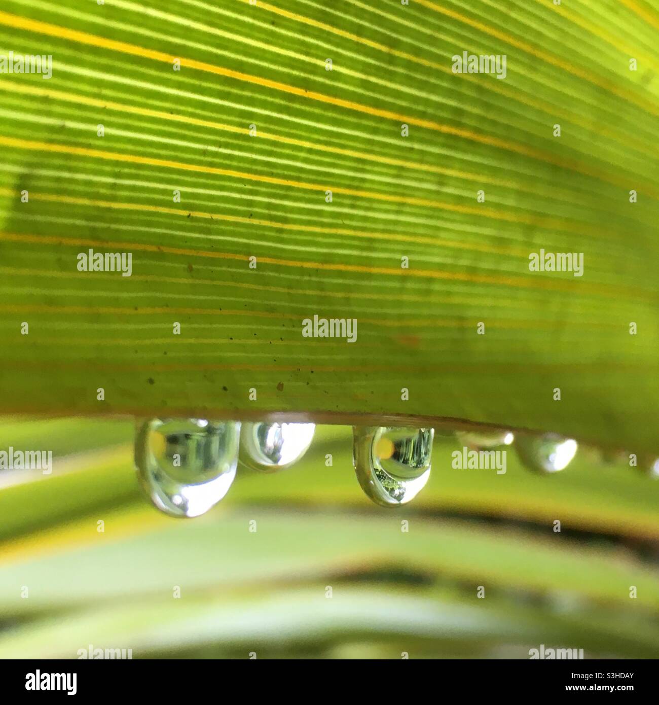 Calm lines hi-res stock photography and images - Alamy