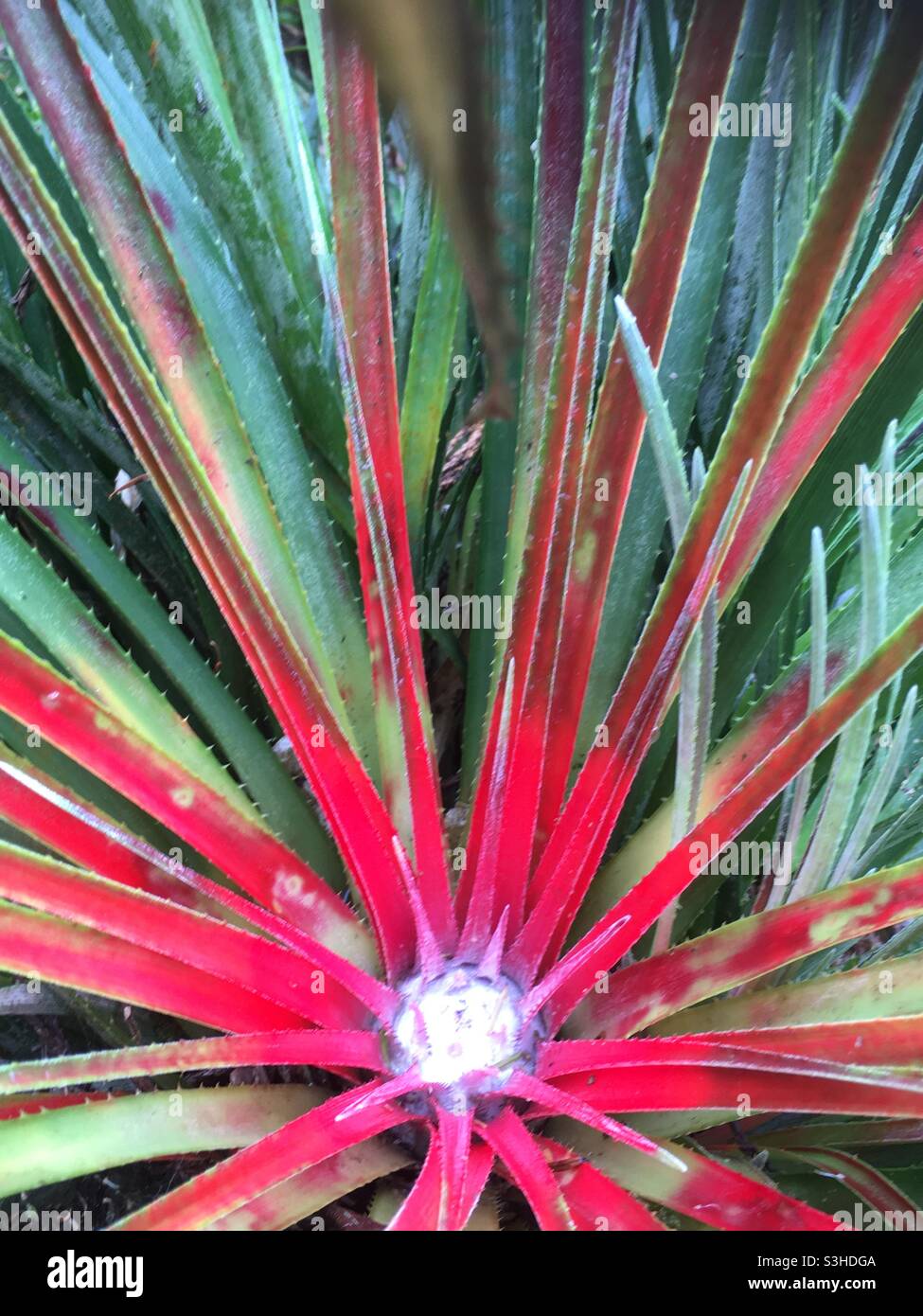 Vibrant dynamic image hi-res stock photography and images - Alamy