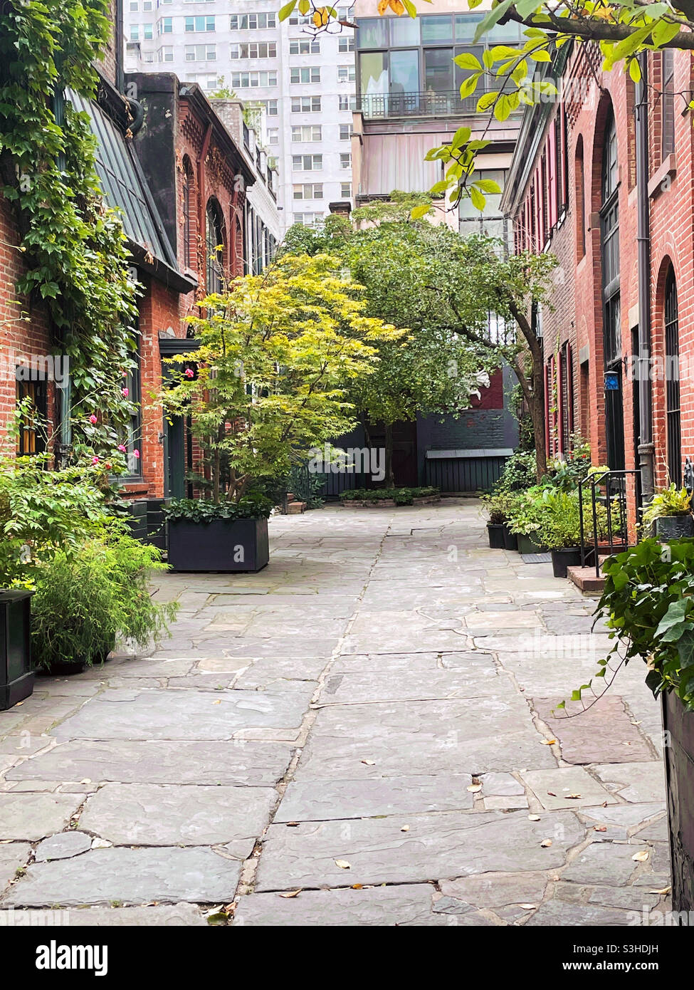 Sniffen court hi-res stock photography and images - Alamy