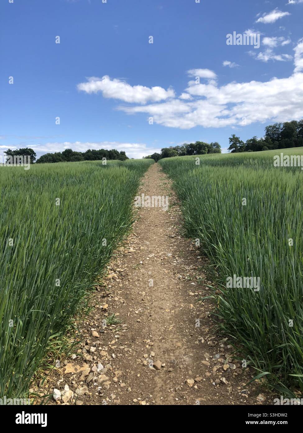 Getting lost hi-res stock photography and images - Alamy