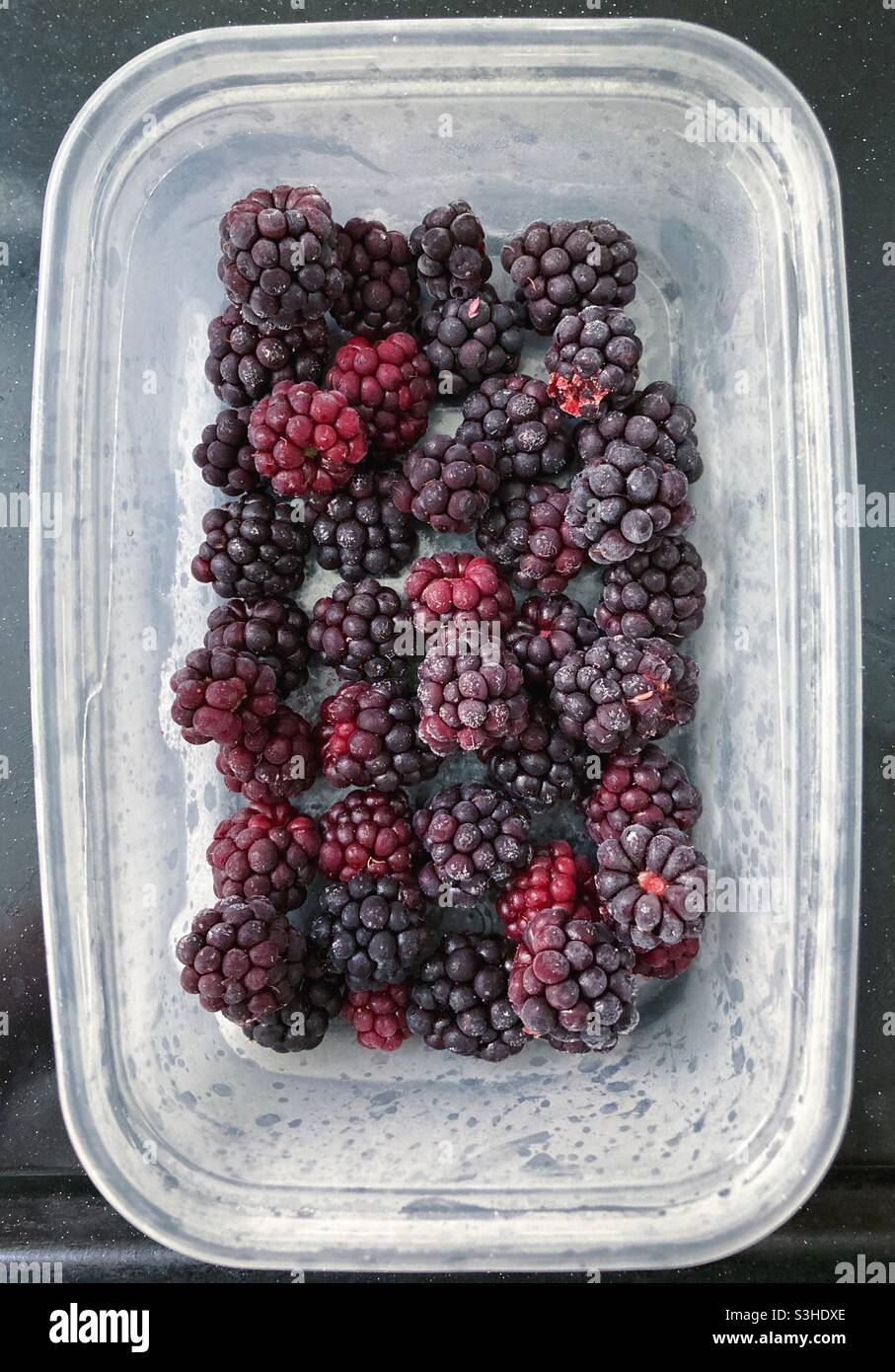 Container of blackberries hi-res stock photography and images - Alamy