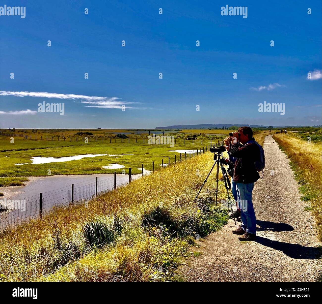 Bird watching on the nature reserve Stock Photo - Alamy