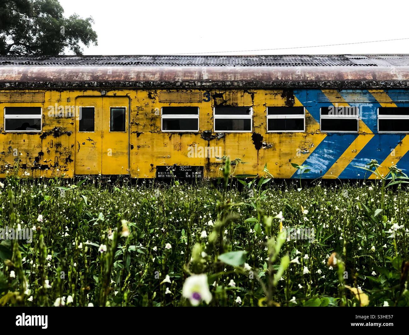 Rusty old train carriage Stock Photo - Alamy