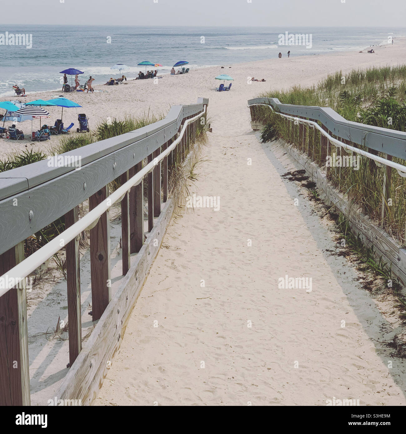 July, 2021, path to the beach, Long Beach Township, Long Beach Island ...