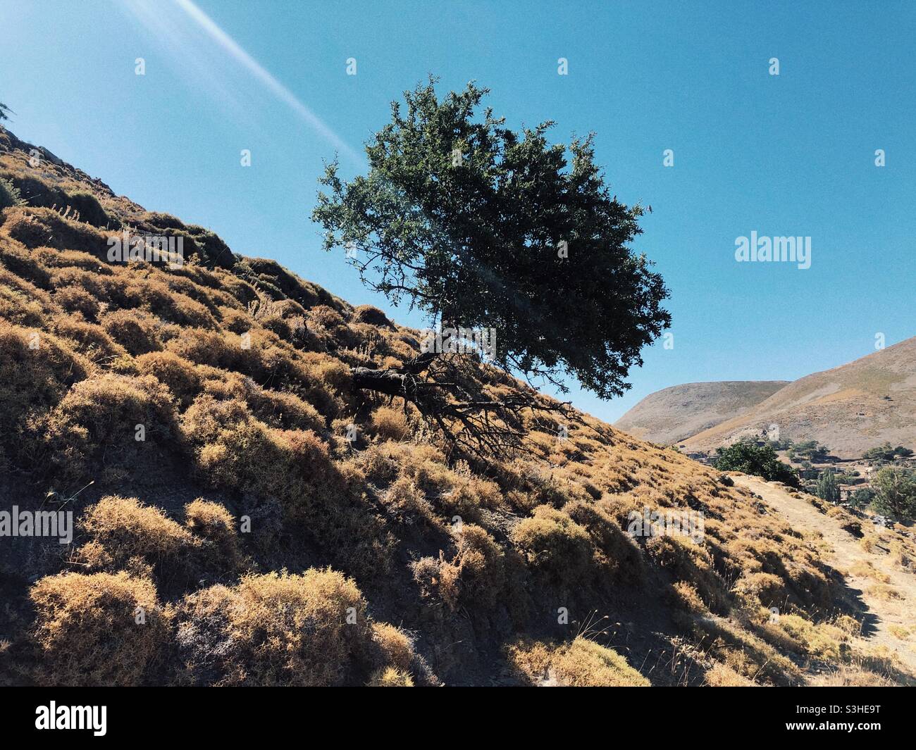 Montain slope hi-res stock photography and images - Alamy