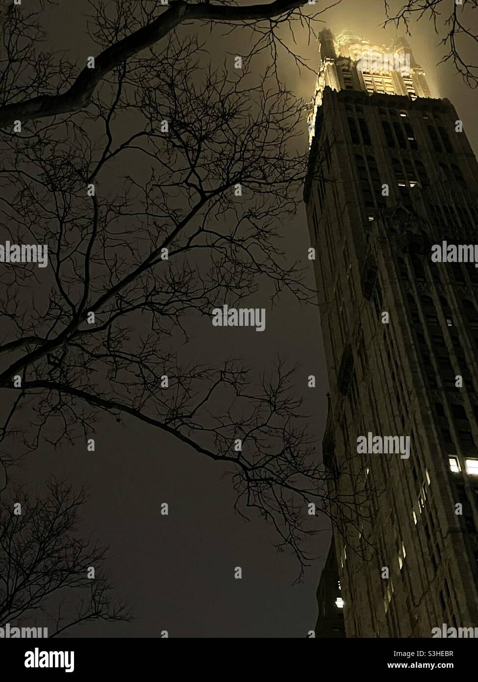 Woolworth building light hi-res stock photography and images - Alamy
