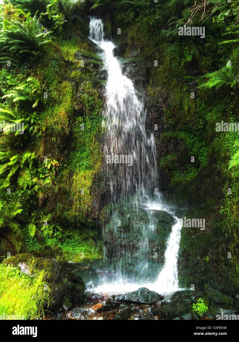 Devon brook hi-res stock photography and images - Alamy