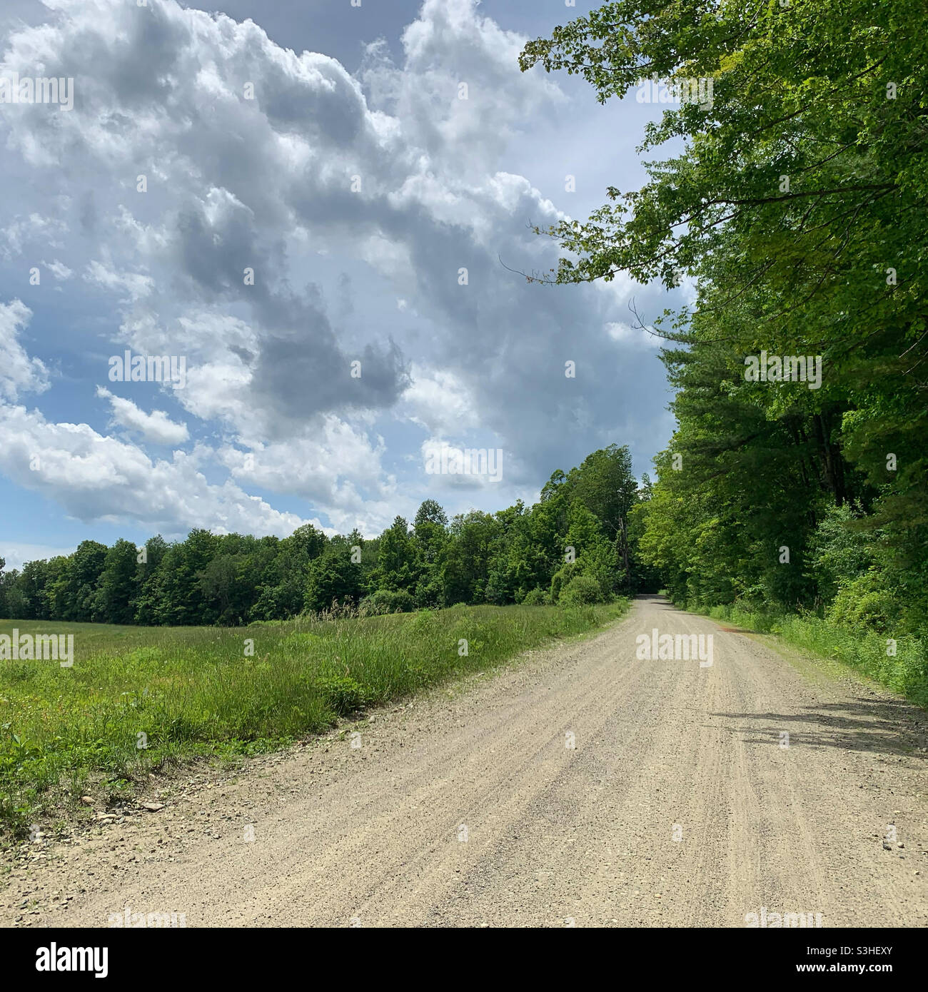 June, 2021, driving in West Halifax, Vermont, United States Stock Photo ...