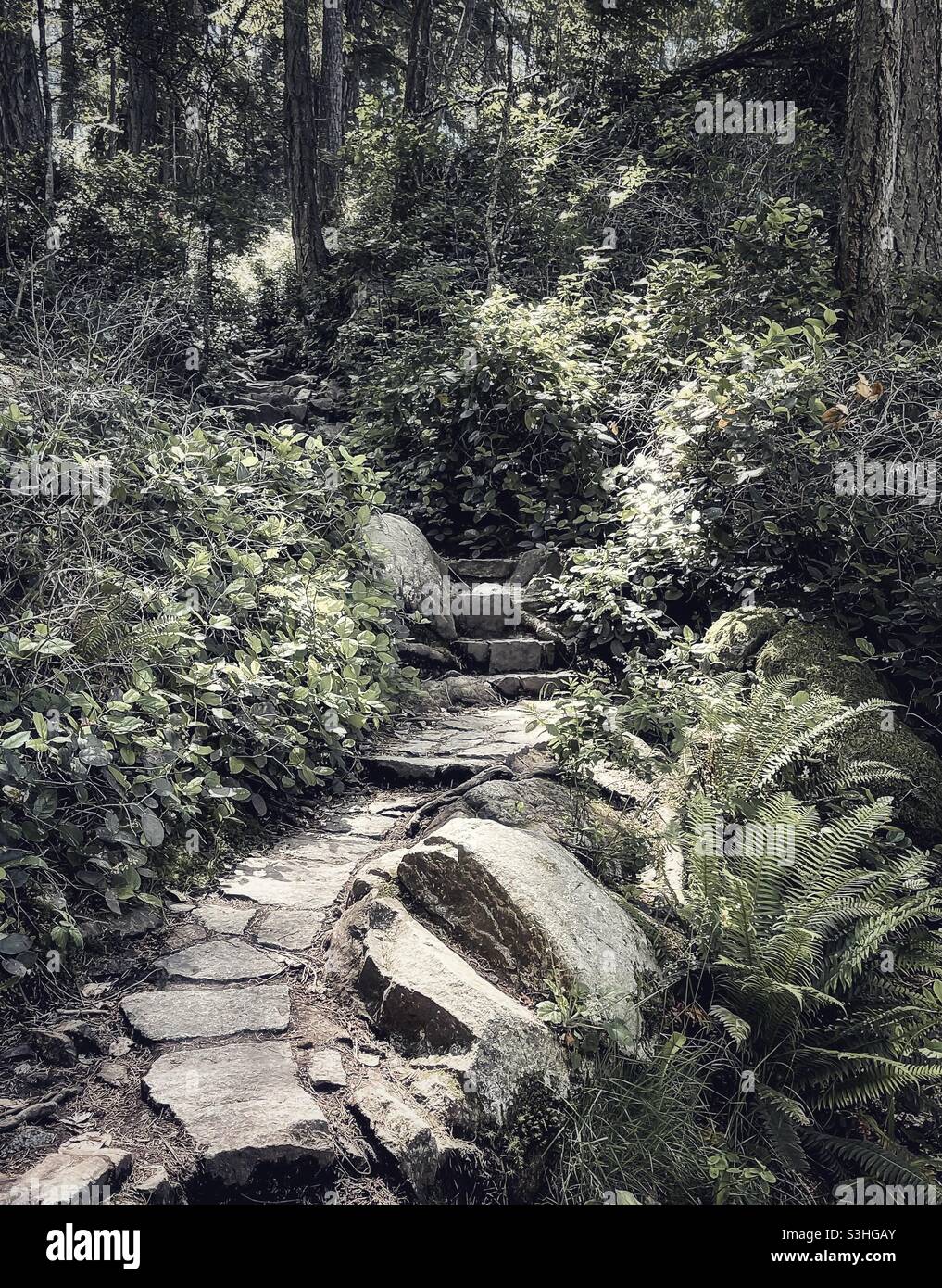 Forgotten pathway hi-res stock photography and images - Alamy