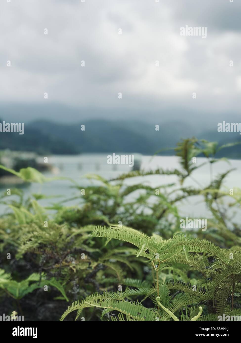 Sneaking out hi-res stock photography and images - Alamy