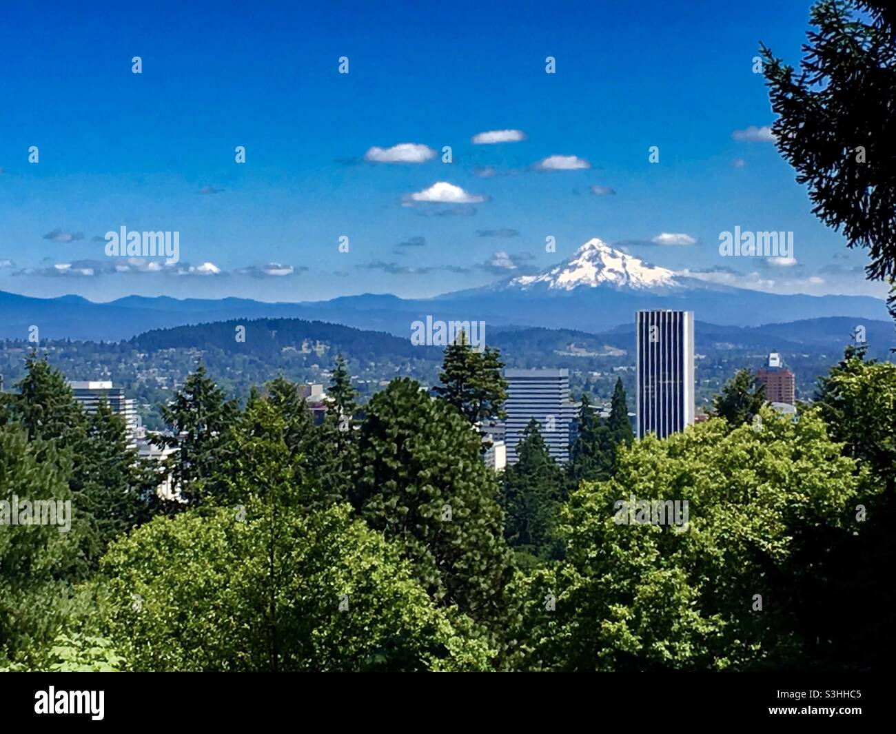 Portland Skyline with Mount Hood Stock Photo - Alamy