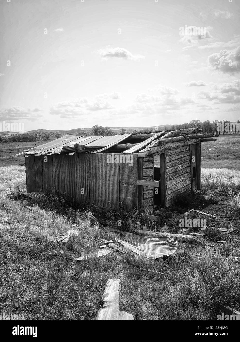 Cabin fever hi-res stock photography and images - Alamy