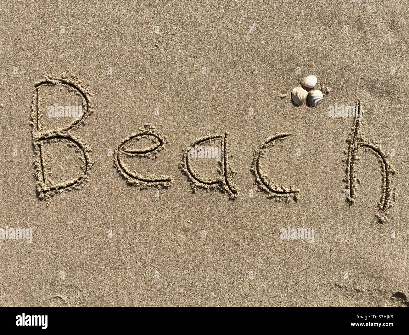 Writing on the beach in wet sand: Beach, there are a couple of shells ...