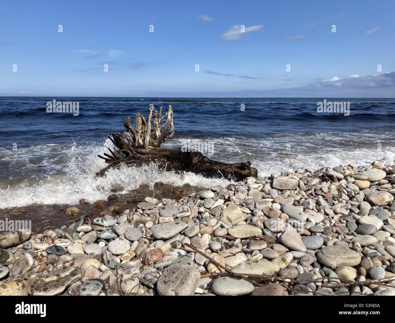 Washed tree hi-res stock photography and images - Alamy