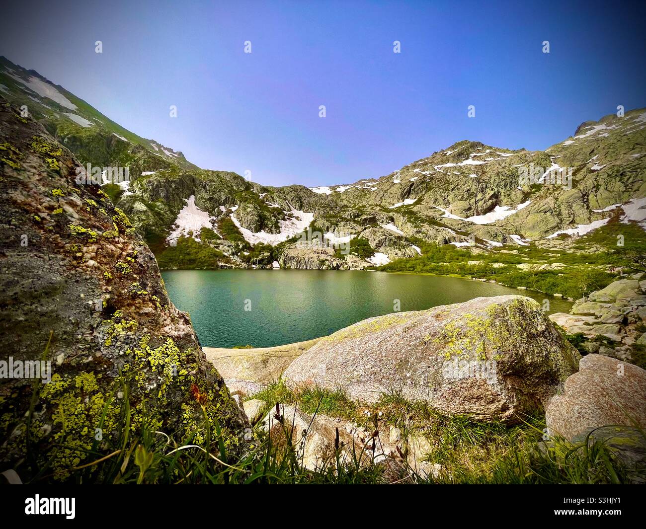 Melu hi-res stock photography and images - Alamy