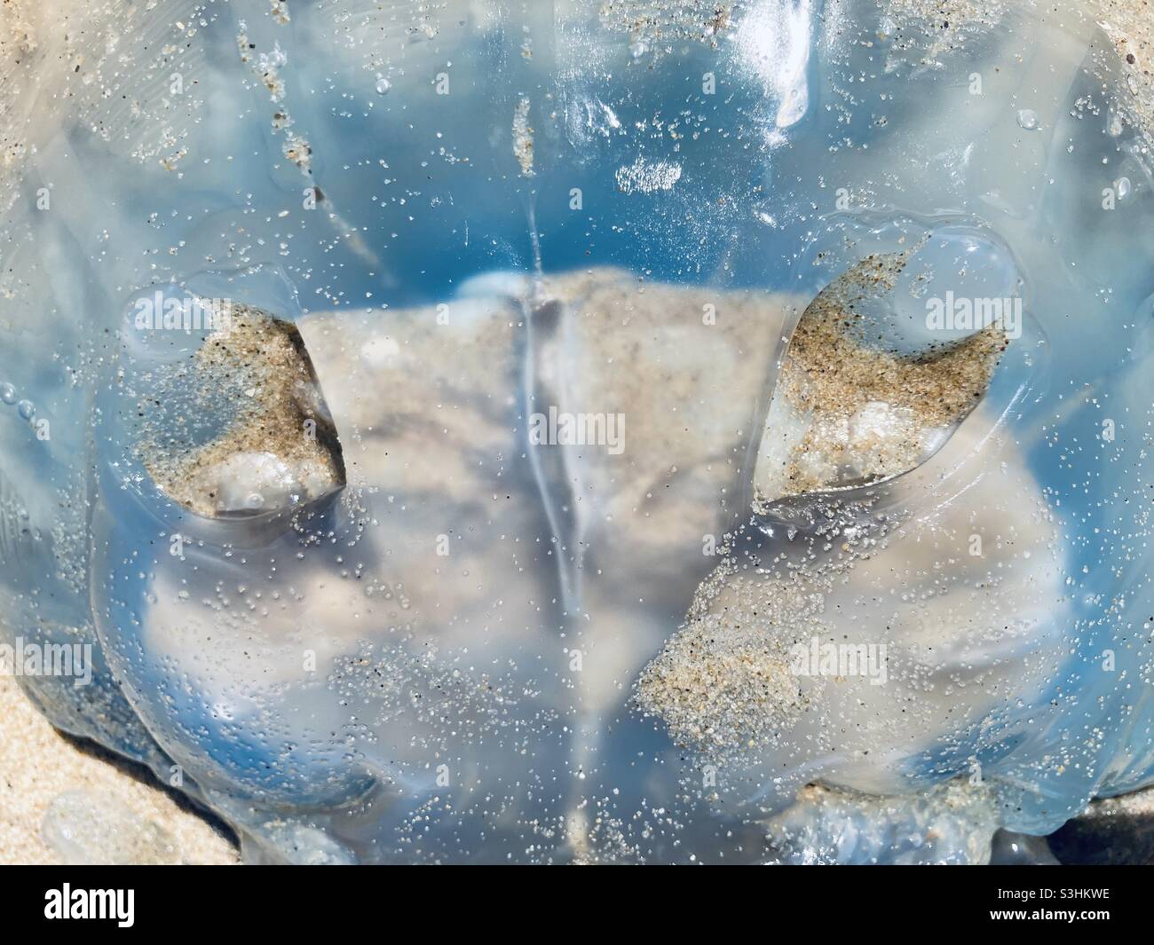 Alien face hi-res stock photography and images - Alamy