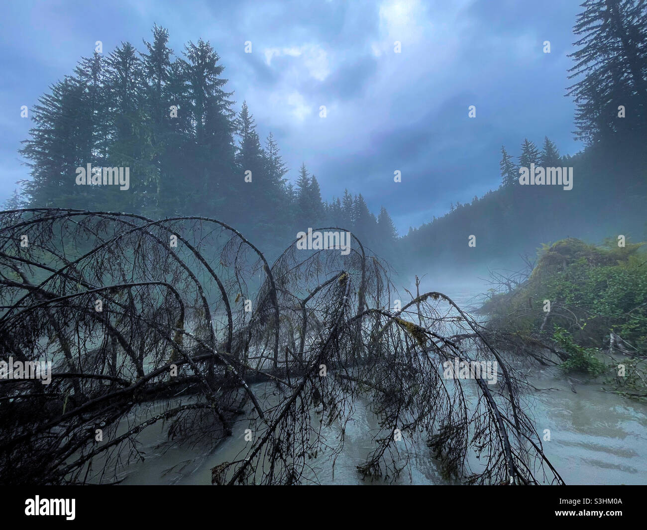 Herbert river hi-res stock photography and images - Alamy