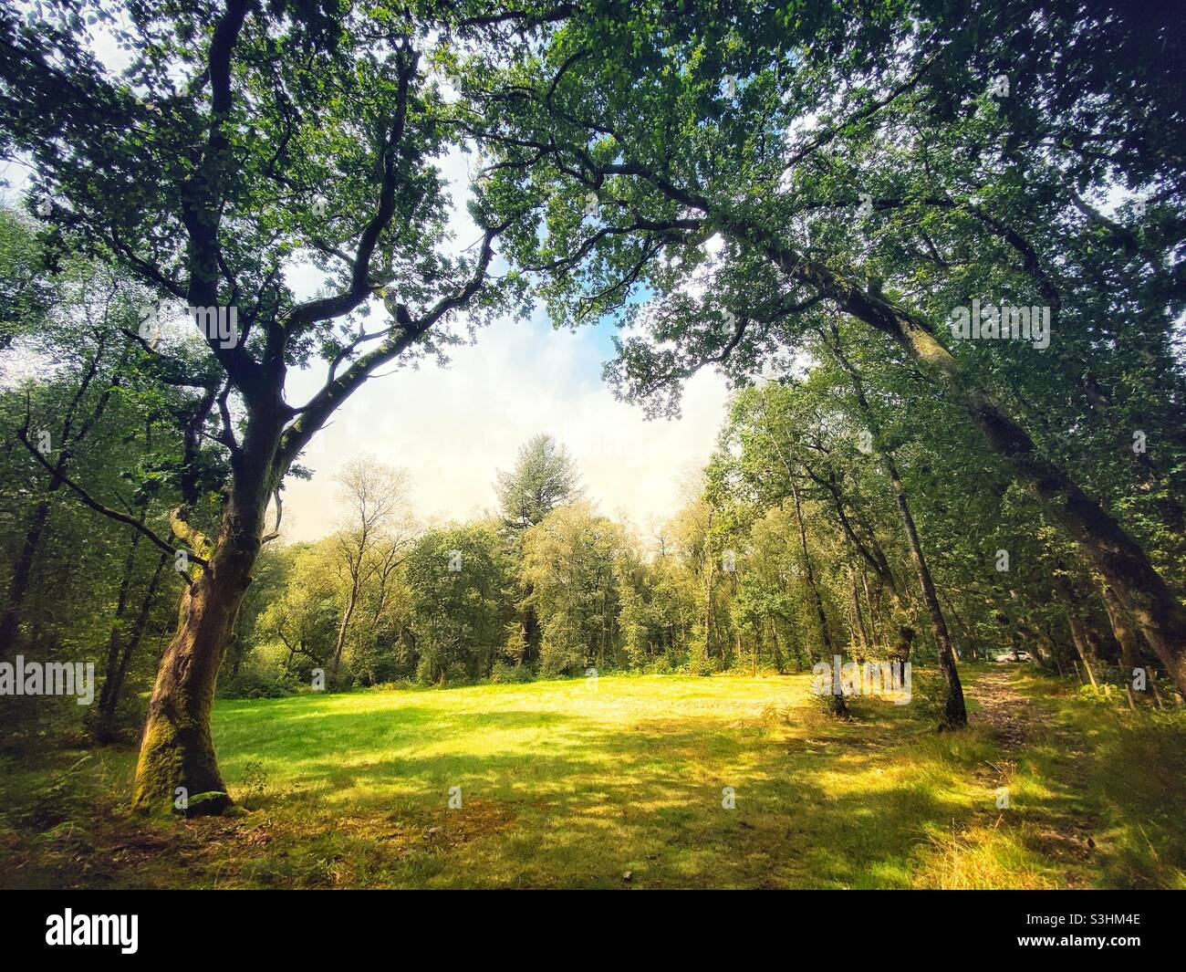 Field campsite hi-res stock photography and images - Alamy