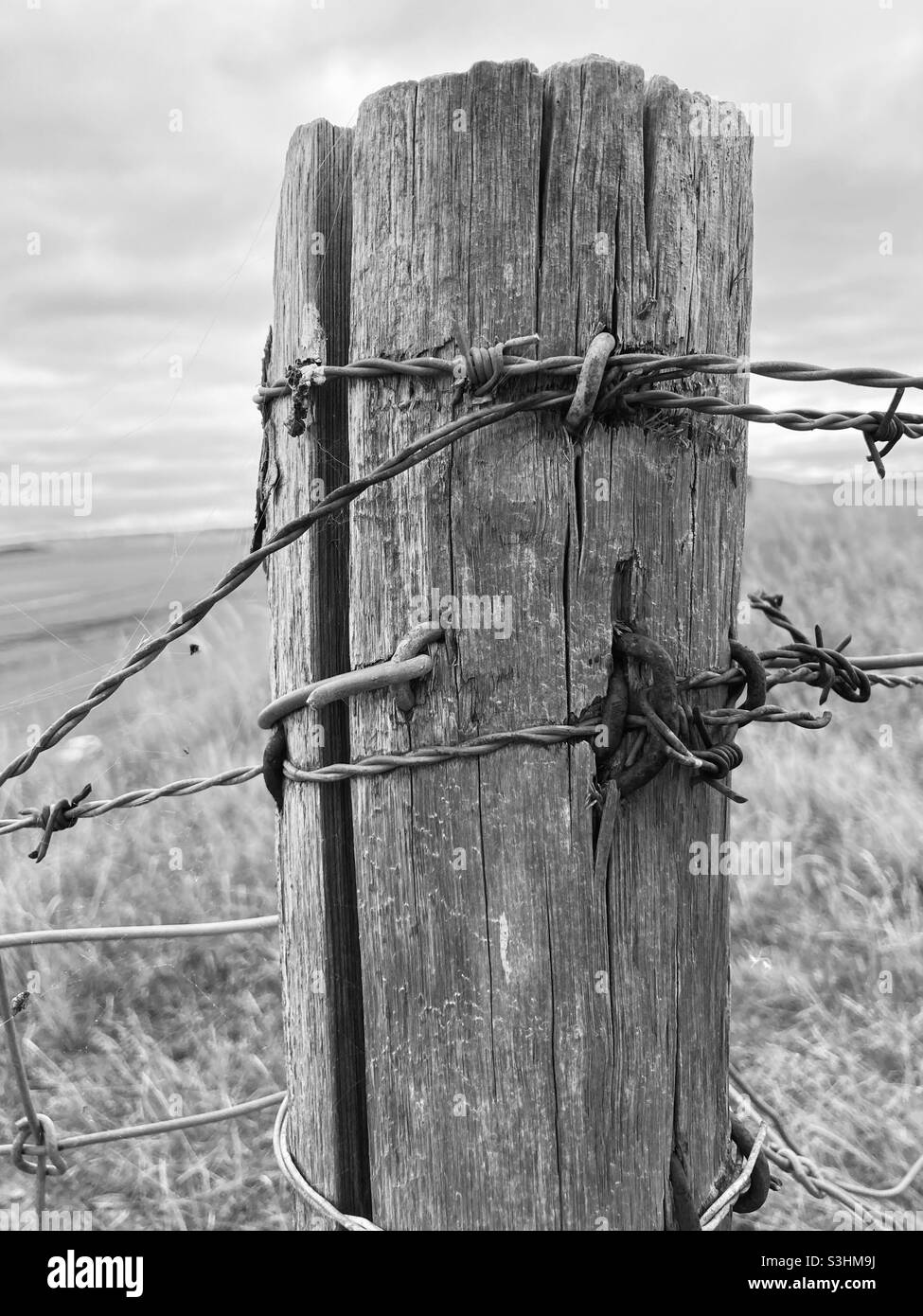 Old Wooden Fence Post