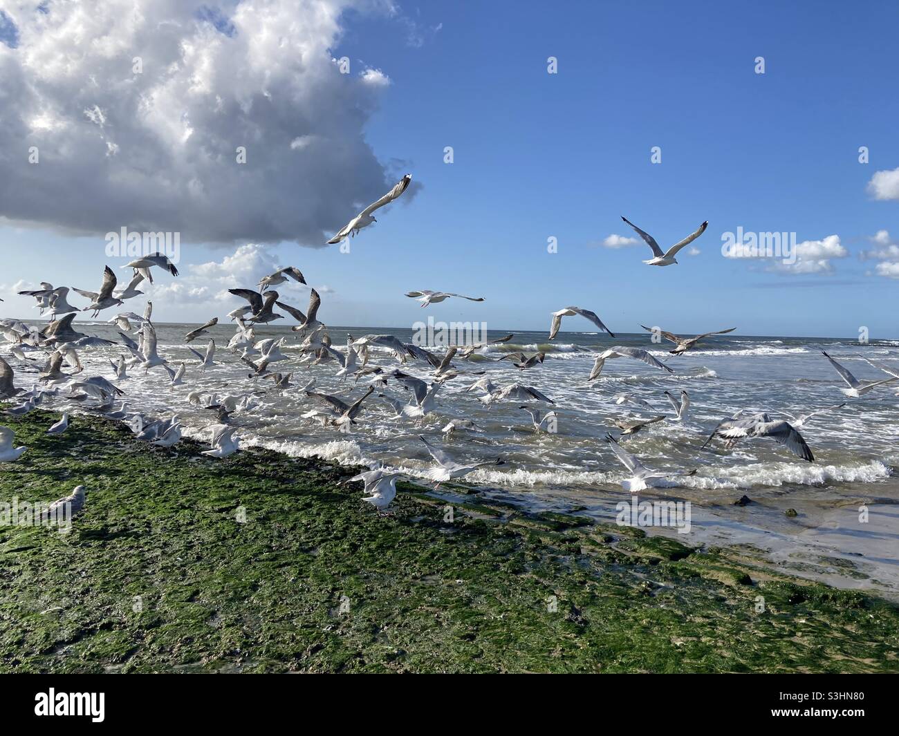 Fly over north coast beach hi-res stock photography and images - Alamy