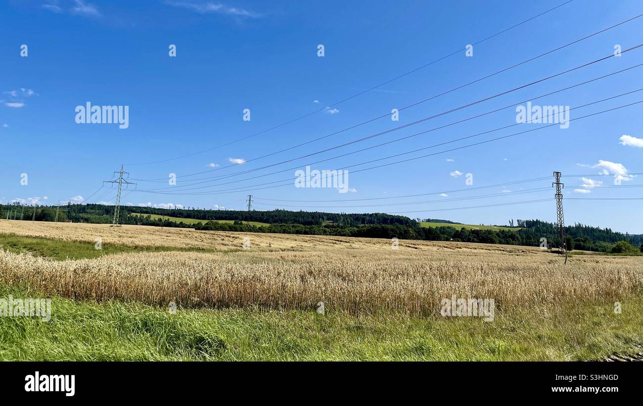 Electric poles in the field. Modern countryside Stock Photo - Alamy
