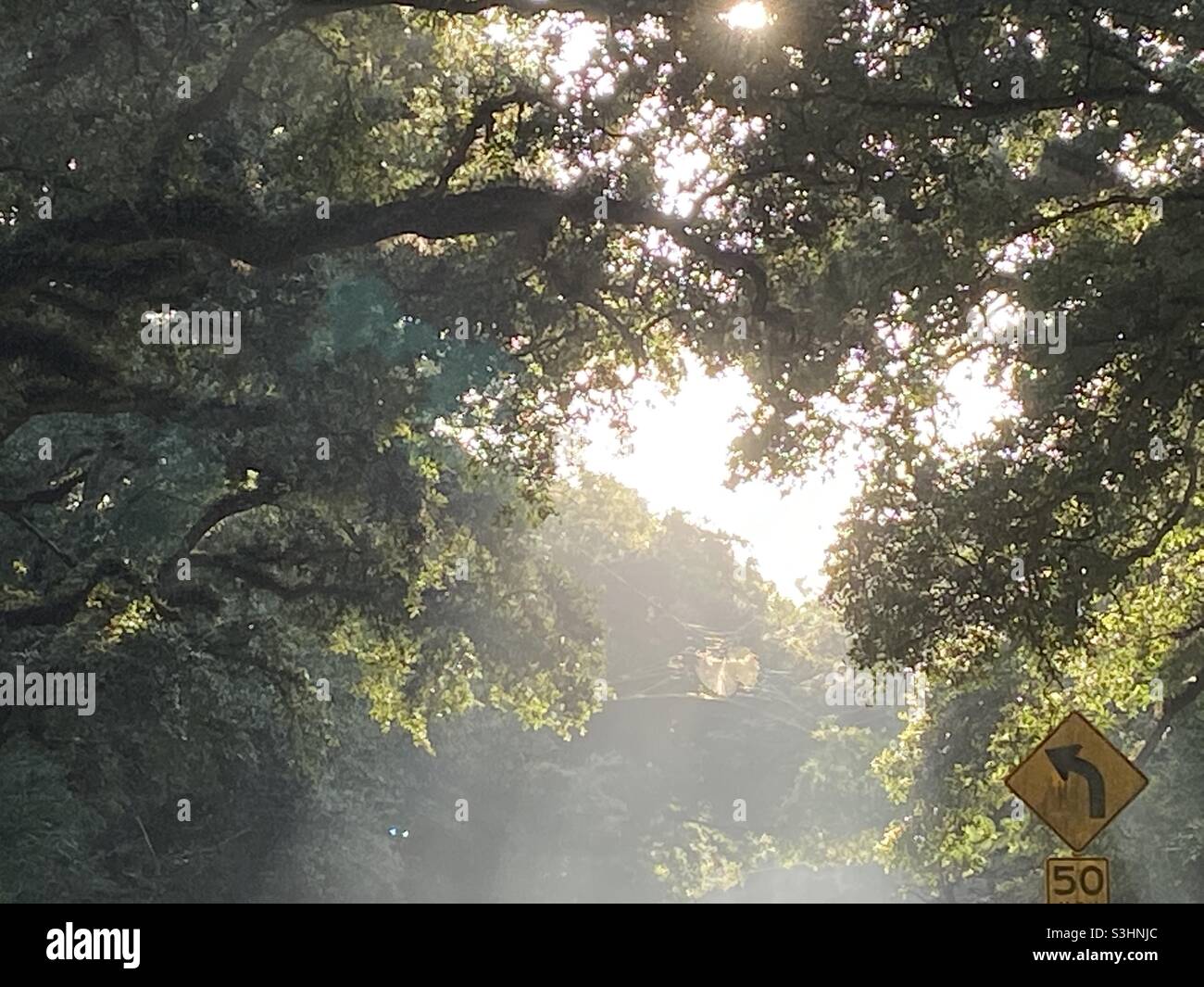 Oak roads hi-res stock photography and images - Alamy