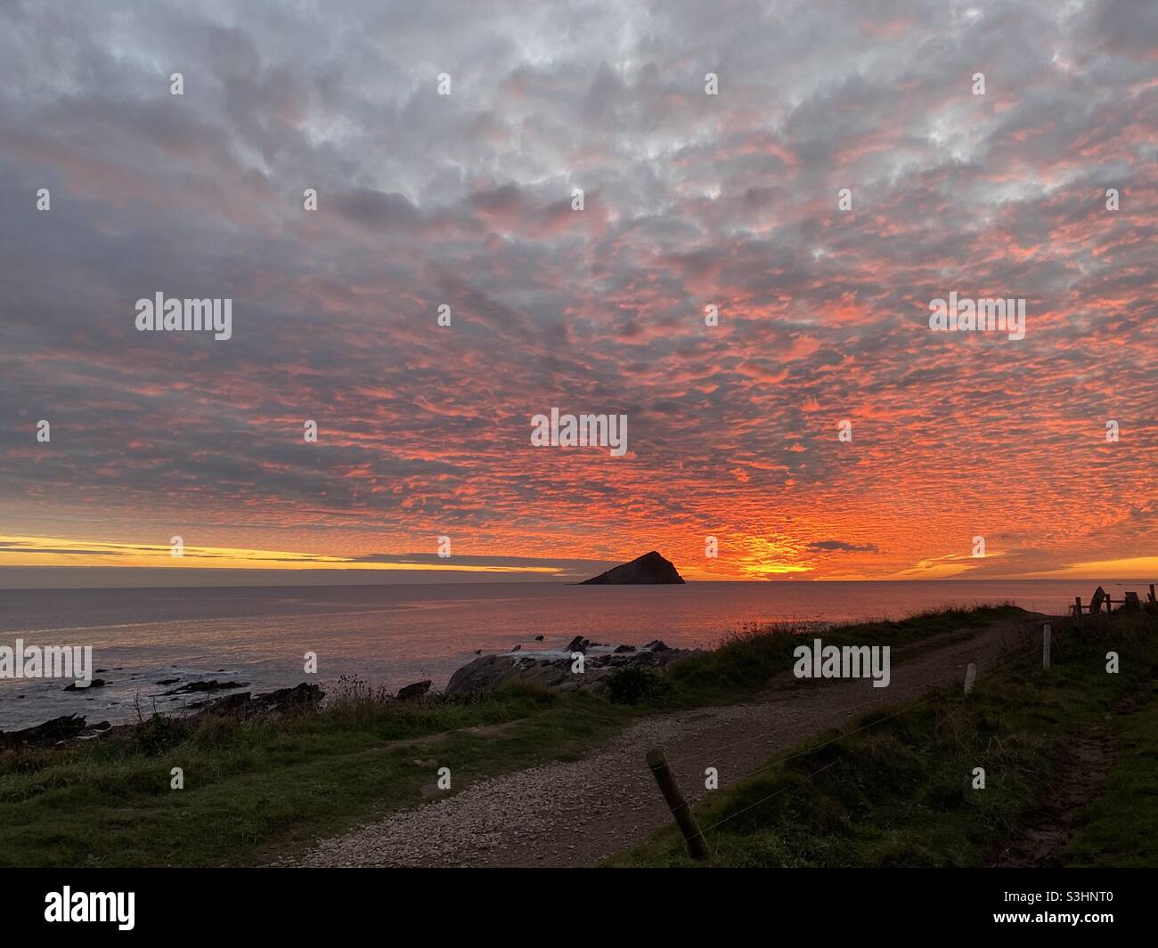 Mewstone hi-res stock photography and images - Alamy