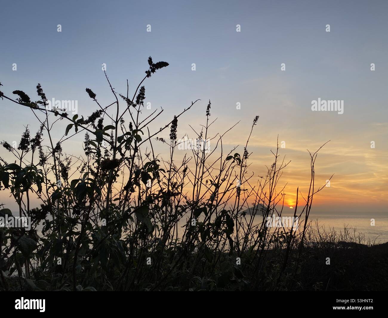 The Mewstone High Resolution Stock Photography and Images - Alamy