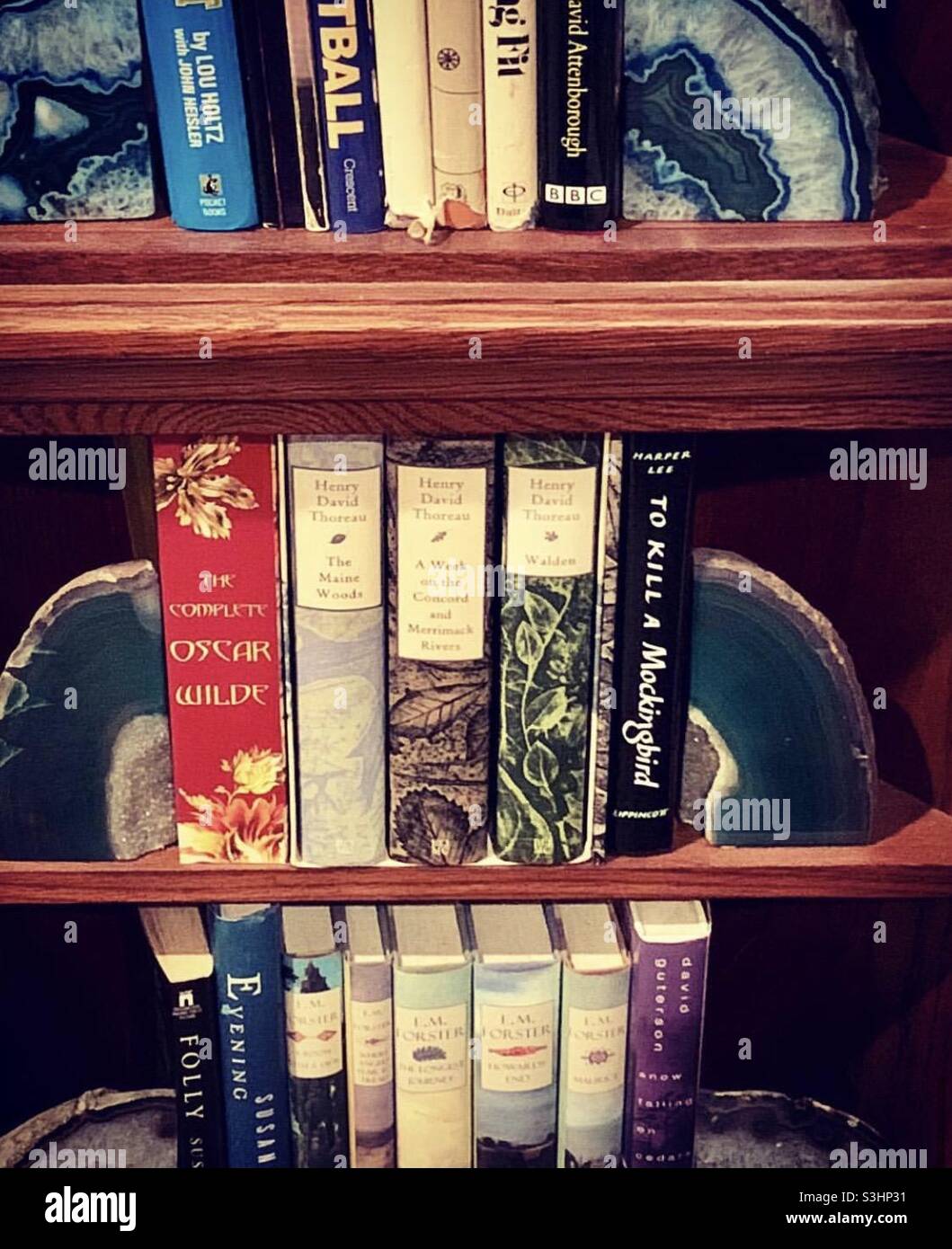 Home book shelves hi-res stock photography and images - Alamy