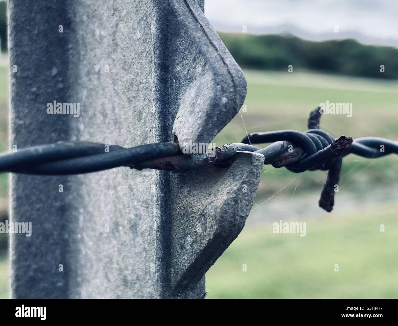 Closeup barbed wire hi-res stock photography and images - Alamy