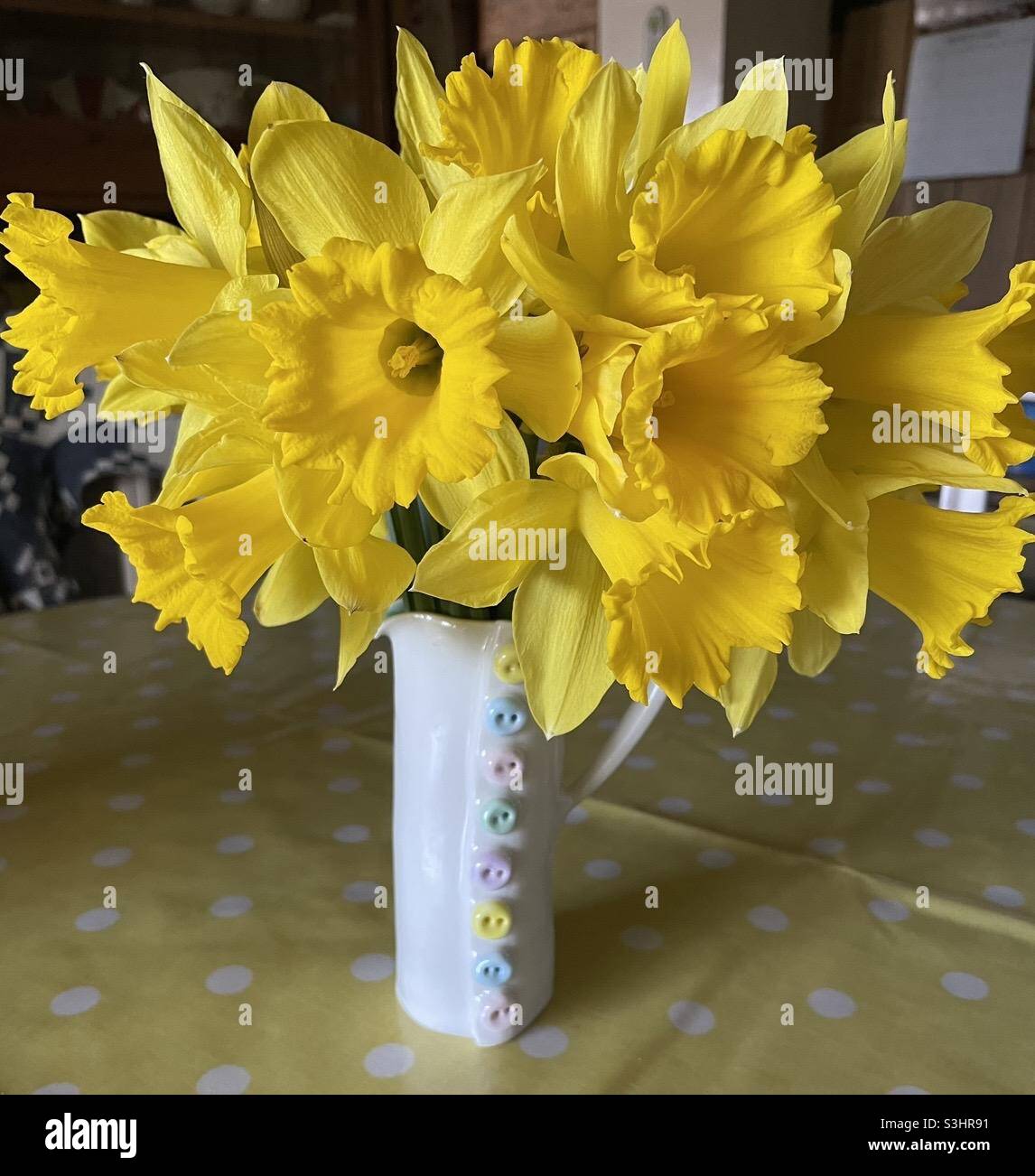 Vase daffodils hi-res stock photography and images - Alamy