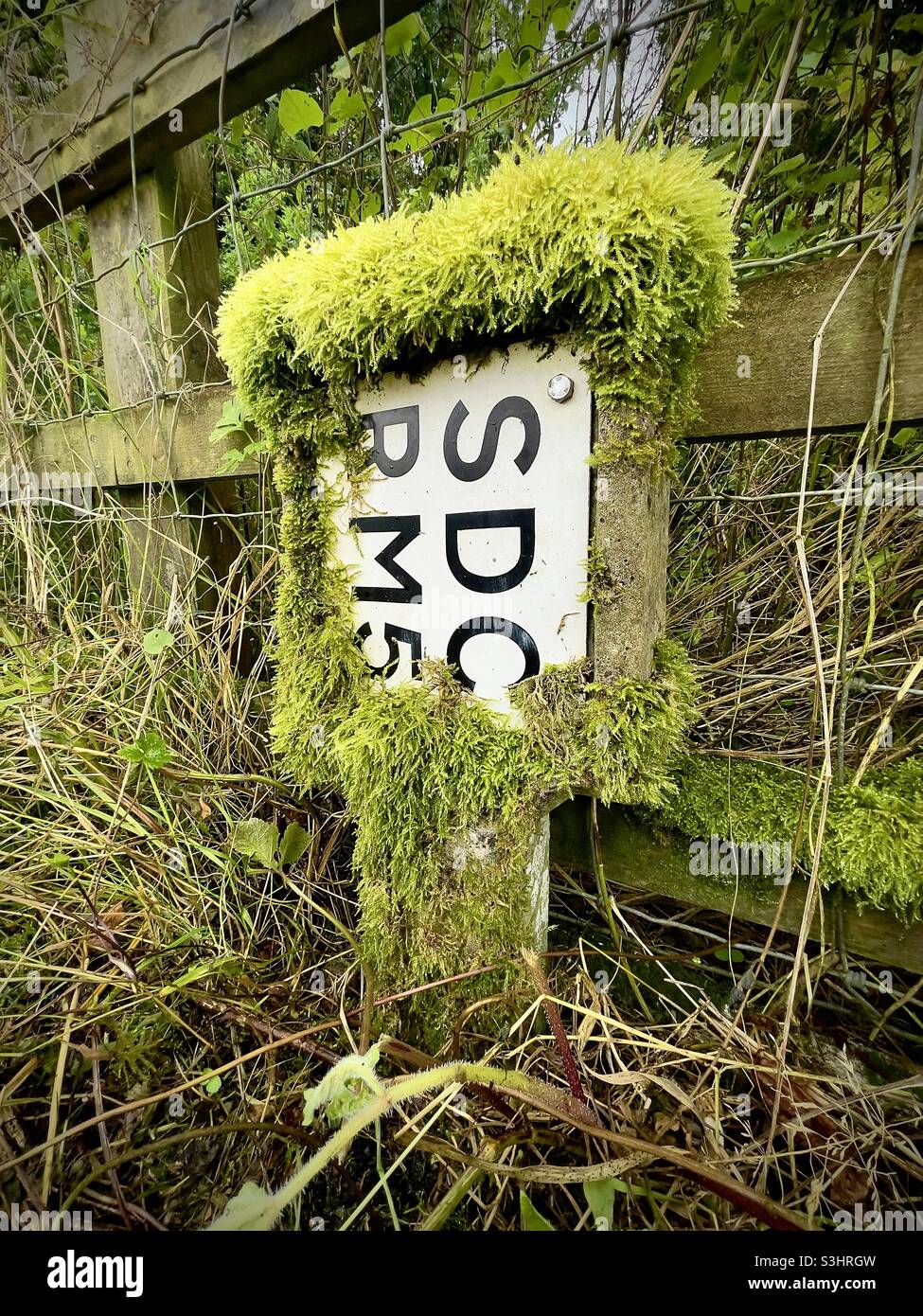 Concrete sign hi-res stock photography and images - Alamy