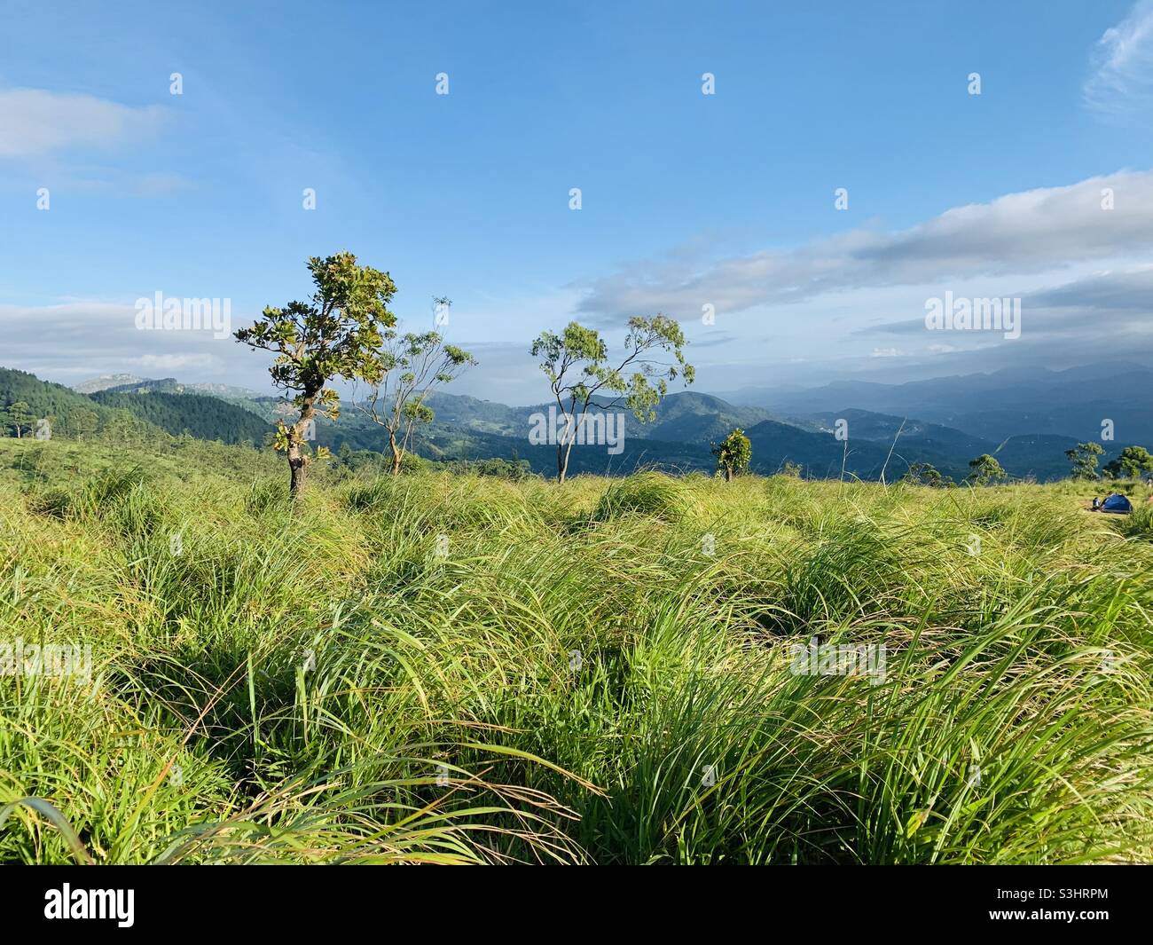 Belwood hi-res stock photography and images - Alamy