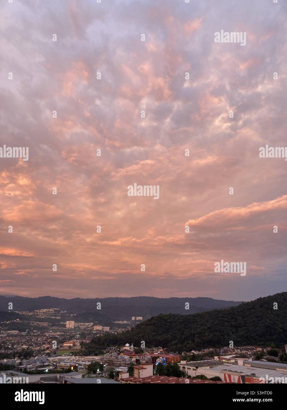 Purple ish hi-res stock photography and images - Alamy