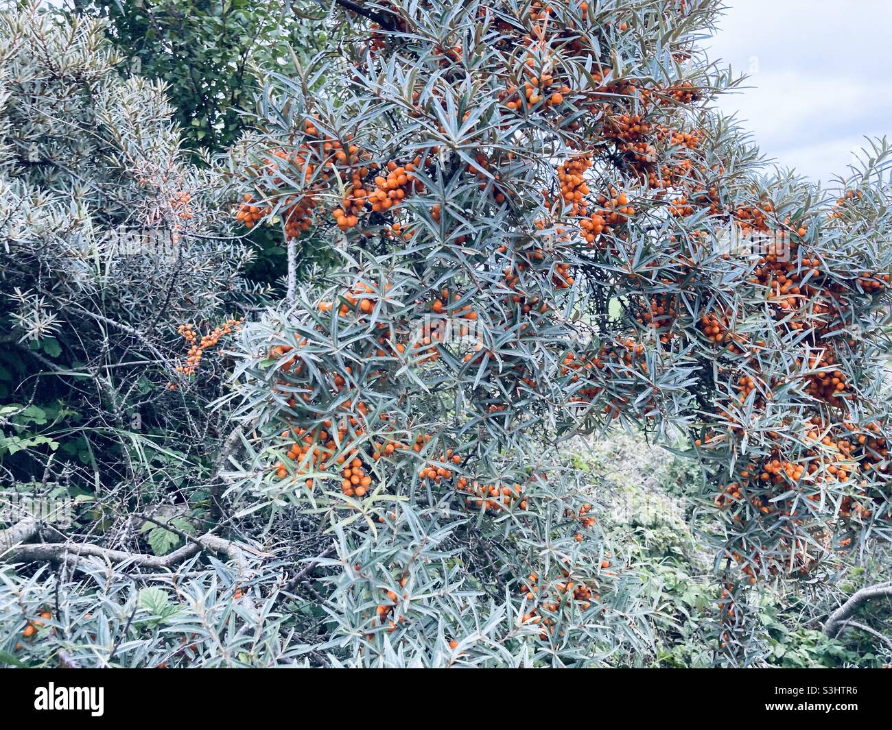 Gray environment hi-res stock photography and images - Alamy