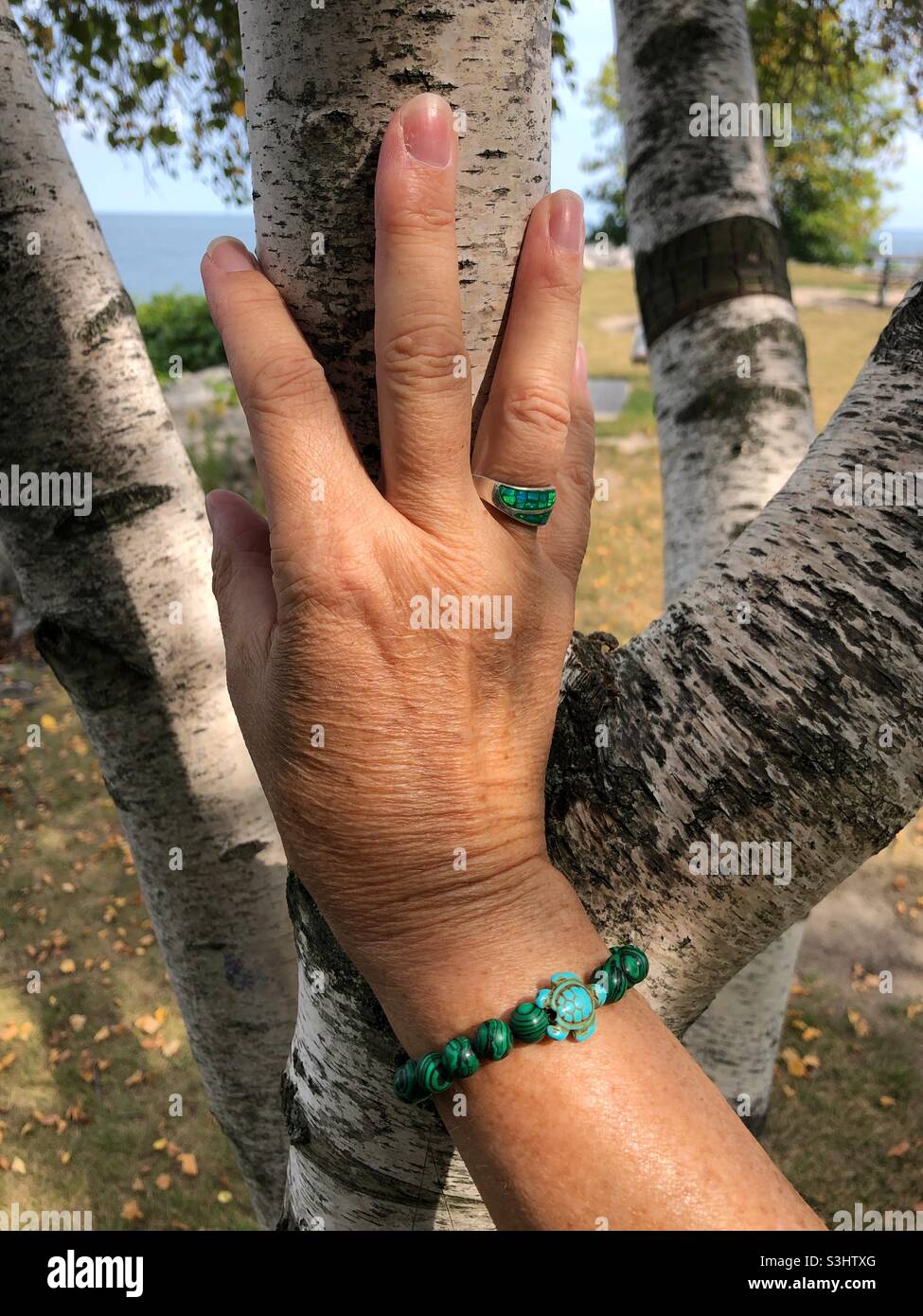 Connecting to nature hi-res stock photography and images - Alamy