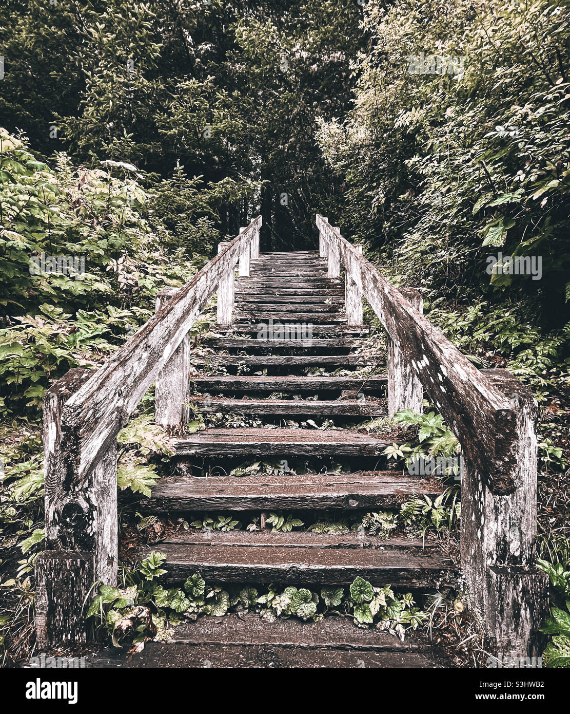 Rustic stairs hi-res stock photography and images - Alamy