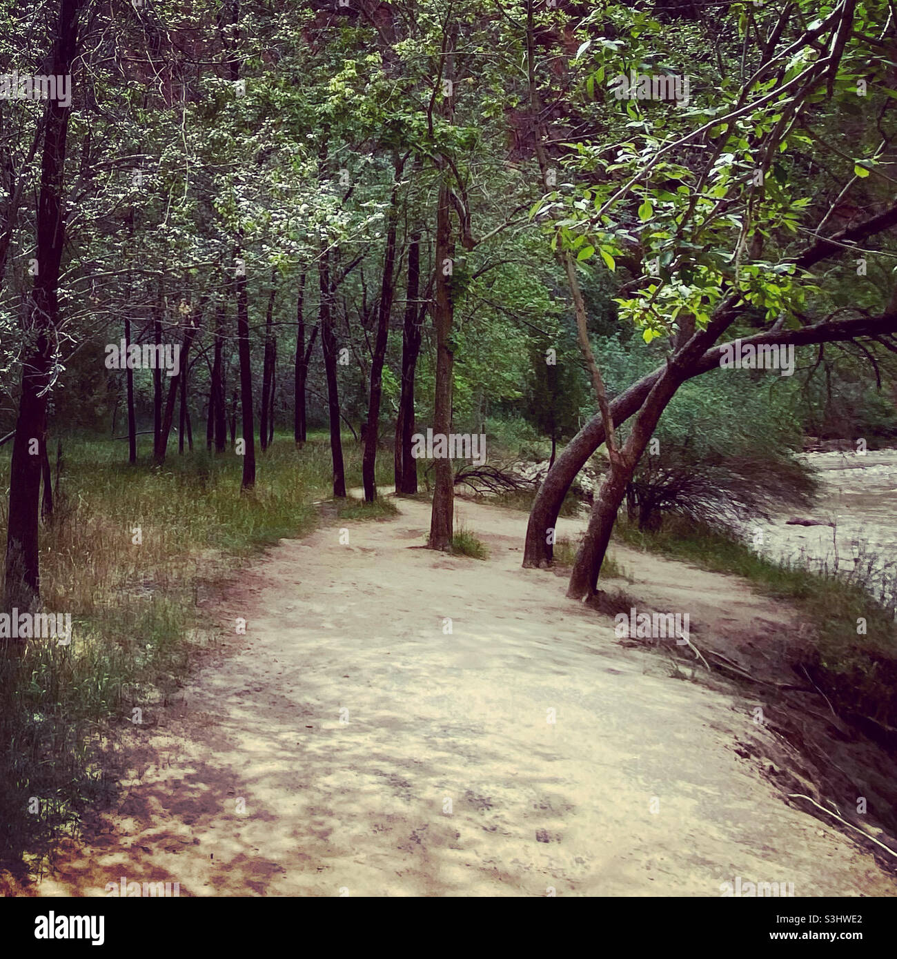 Path less taken hi-res stock photography and images - Alamy Path less taken hi-res stock photography and images - Alamy