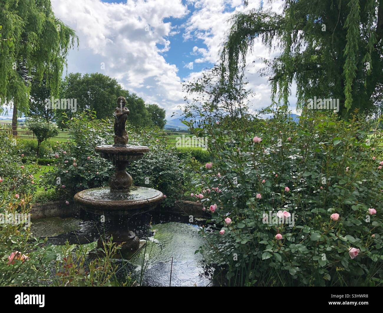 Water fountain surrounded by trees hi-res stock photography and images ...