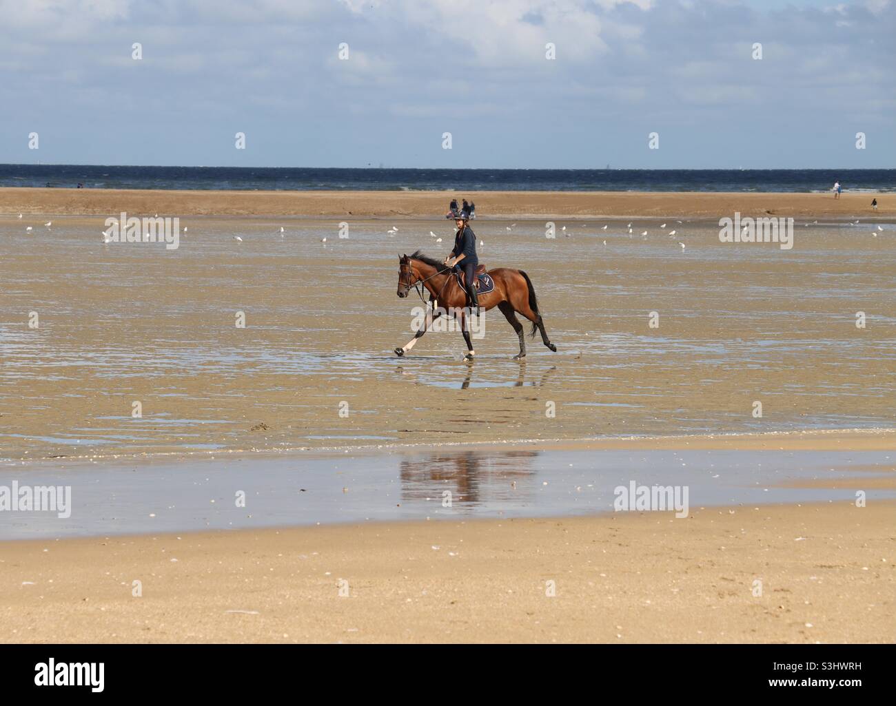 A woman on her horse enjoying the last weekend of summer vacation at ...