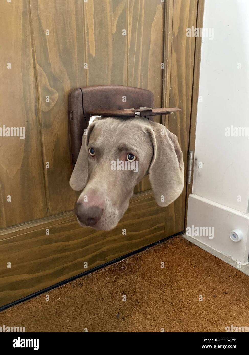 Is there anybody there hi-res stock photography and images - Alamy