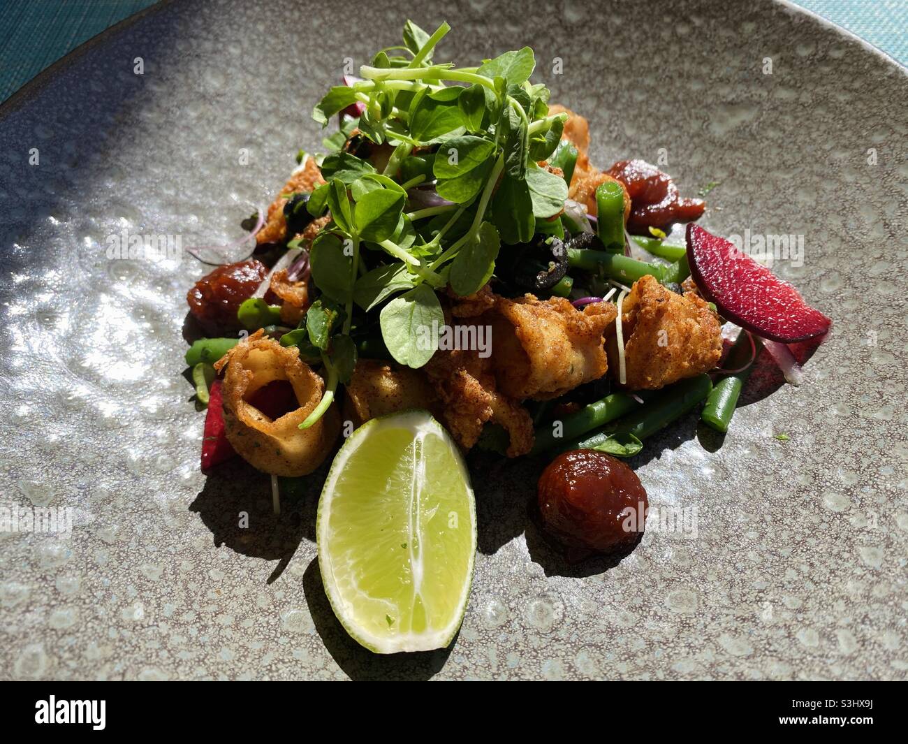 Calamari seafood hi-res stock photography and images - Alamy