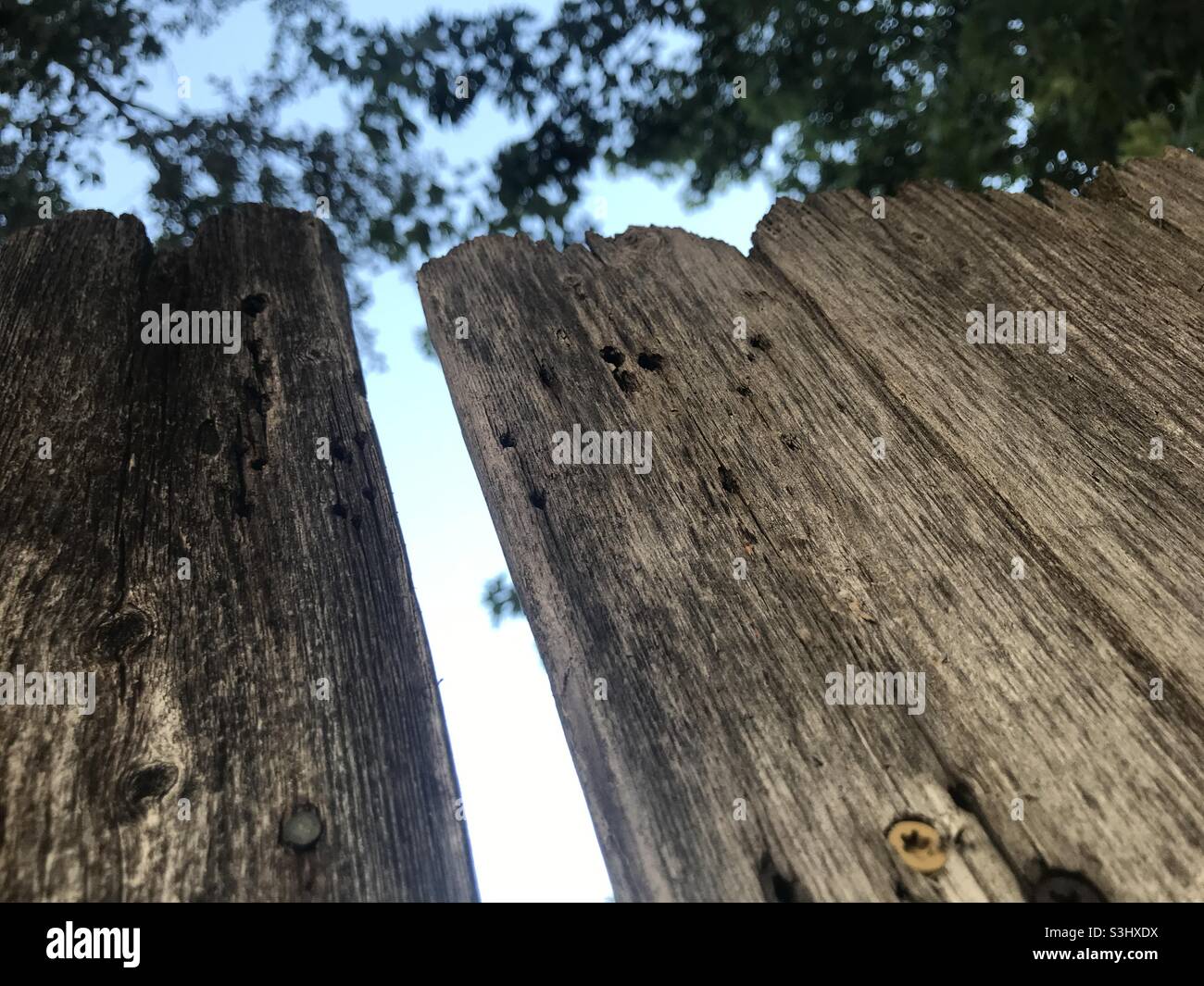 Weathered fence posts Stock Photo - Alamy