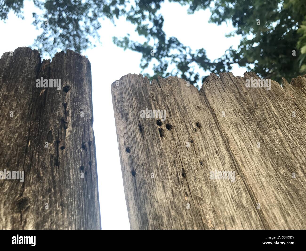Weathered fence hi-res stock photography and images - Alamy