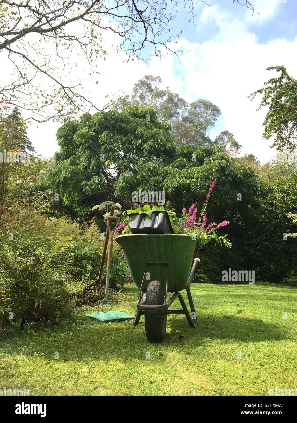 Wheelbarrow garden hi-res stock photography and images - Alamy