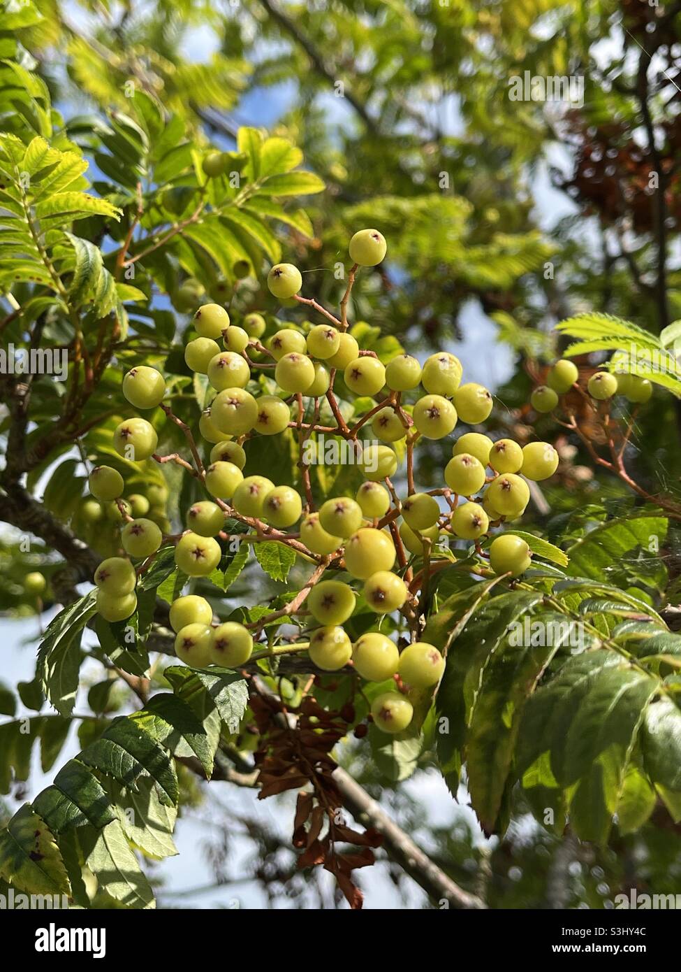 Signs of autumn hi-res stock photography and images - Alamy