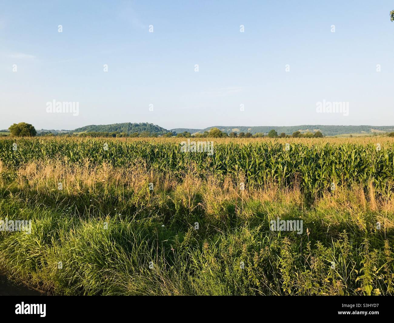 Countryside greenery hi-res stock photography and images - Alamy